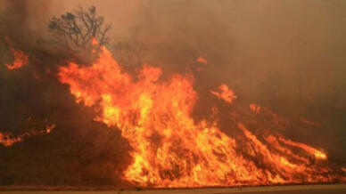 Deadly wildfires rage through Catalonia