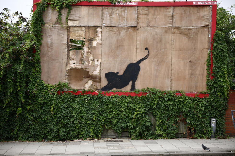 Banksy unveils seventh animal-themed work in a week in UK capital
