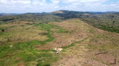 Ibama: Brazil's environmental police are back on the job