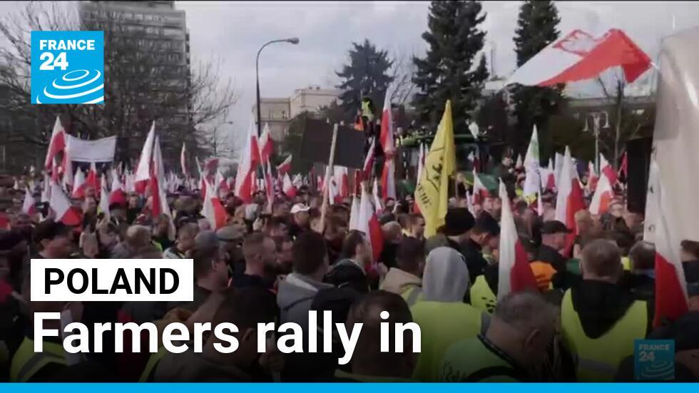 Polish farmers rally in Warsaw against EU policies, Ukraine imports ...