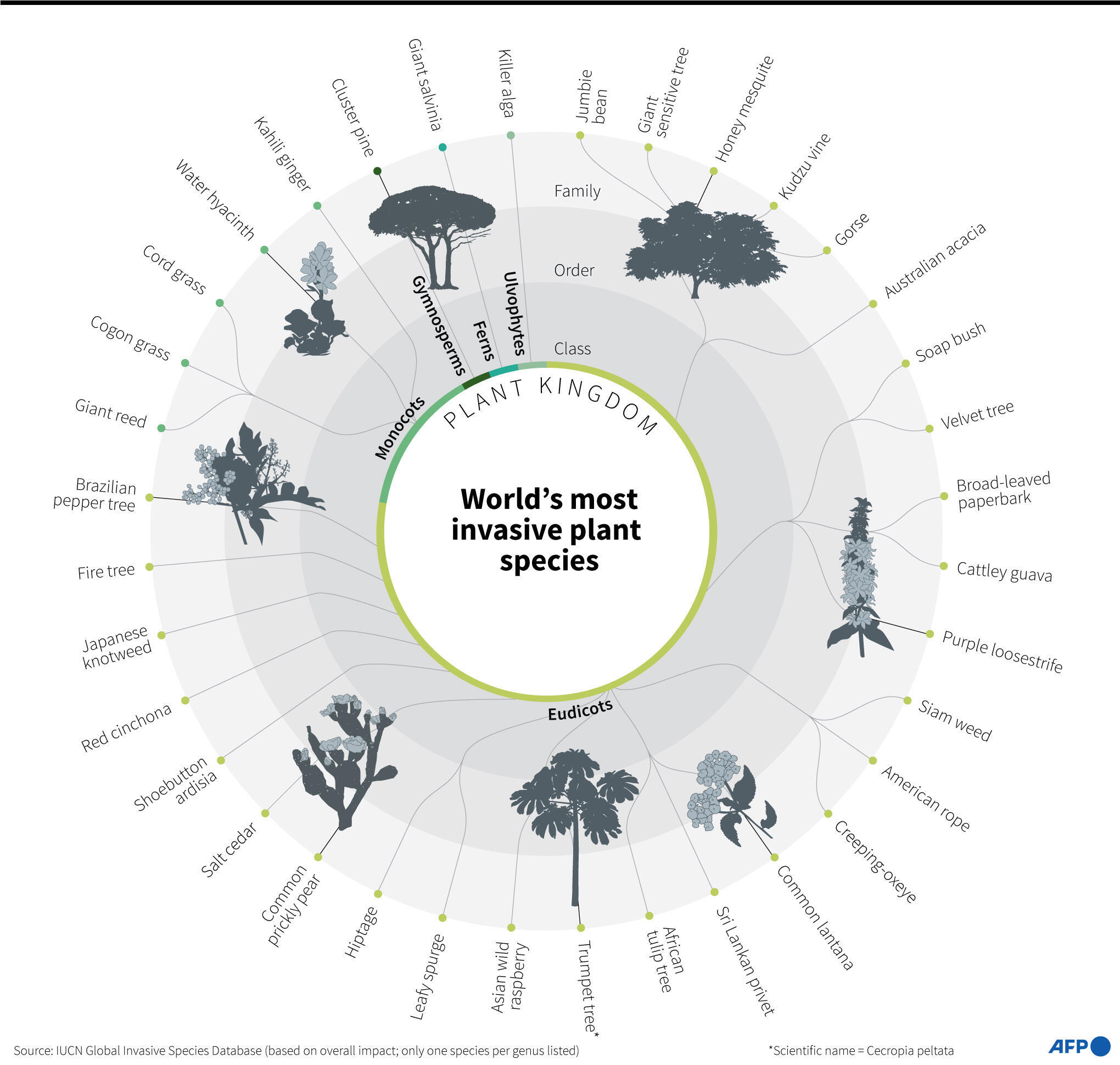 World losing high-stakes fight against invasive species