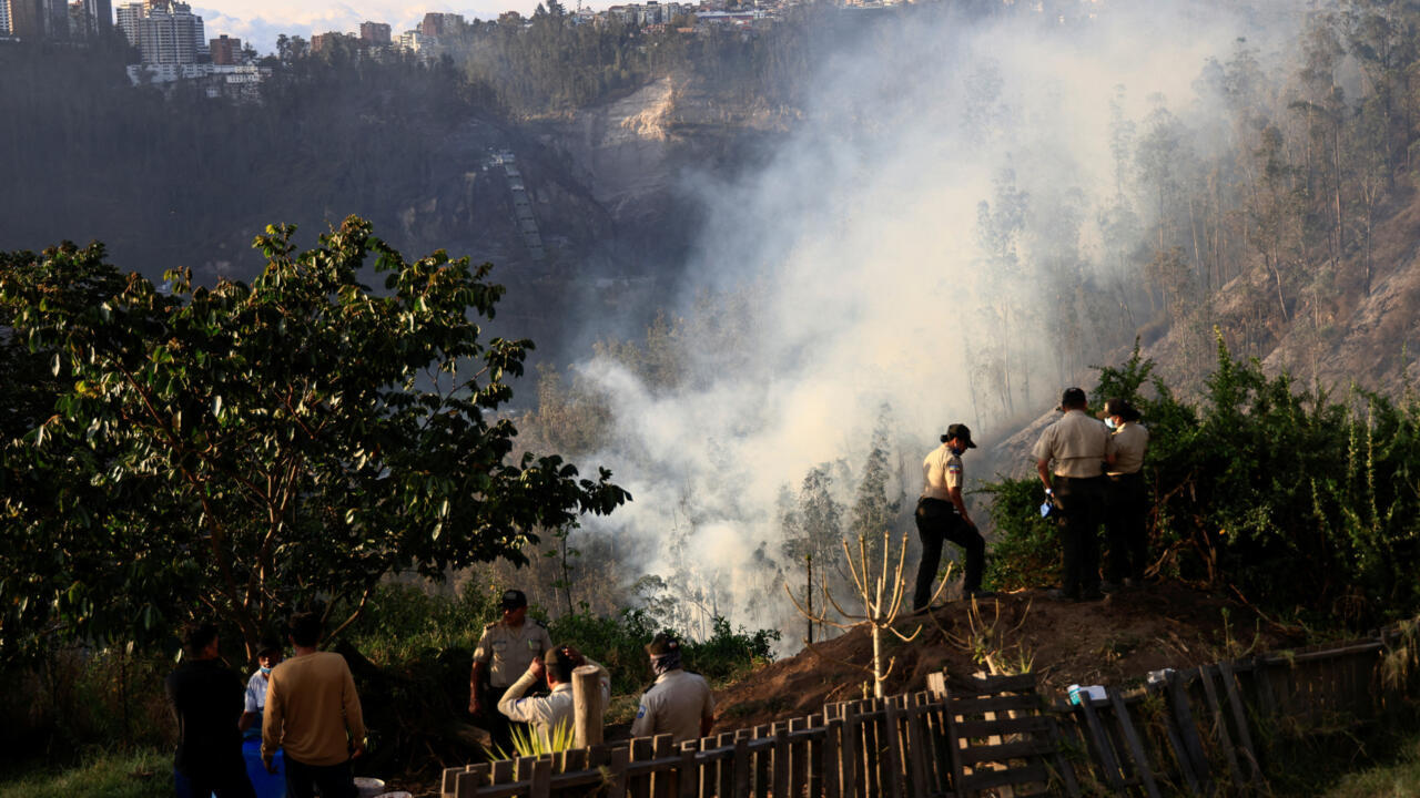 Ecuador: declaran estado de emergencia en Quito por los incendios ...