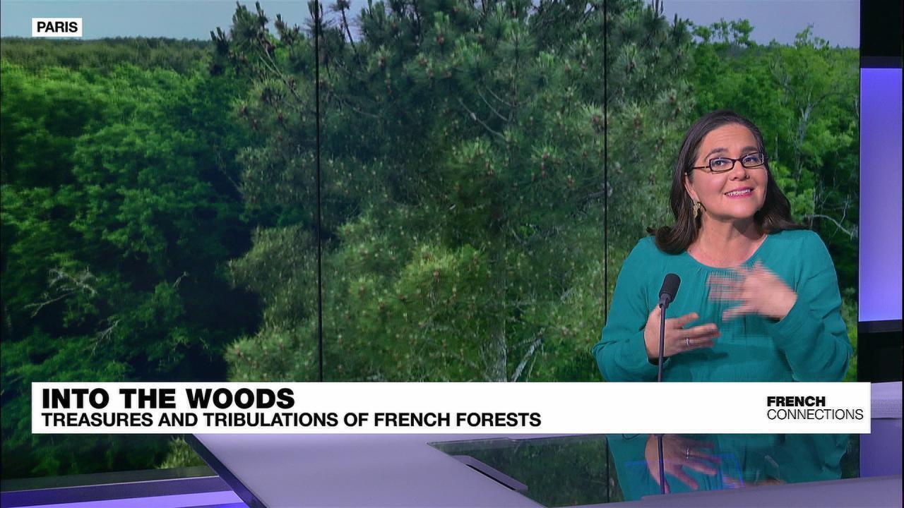French forests: Putting down roots - French connections