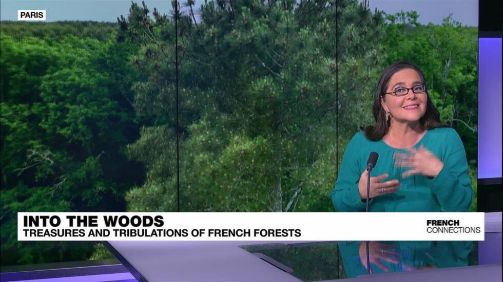 French forests: Putting down roots - French connections