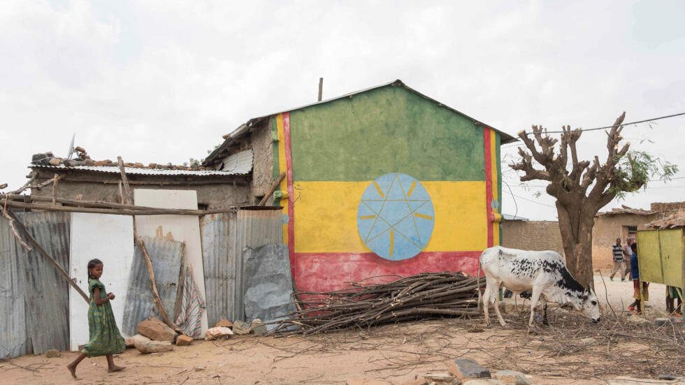 Eritrea welcomes Ethiopia’s olive branch, to send delegation to Addis Ababa