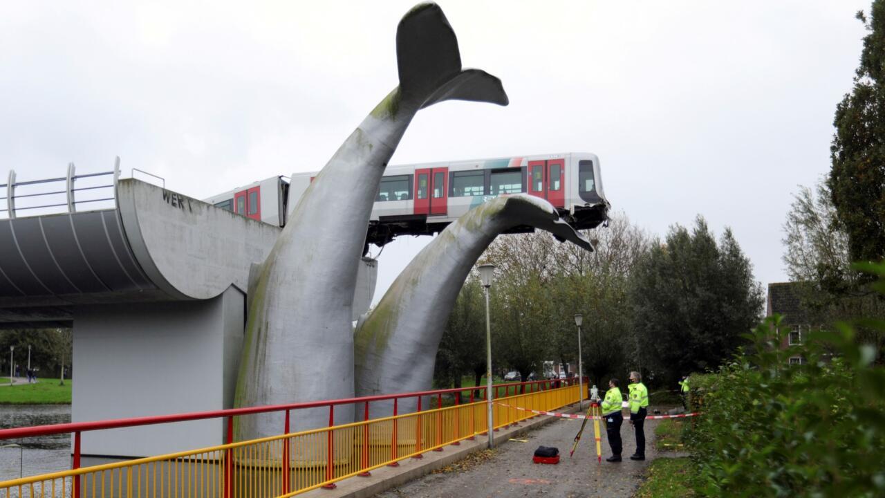 Saved by a whale: Sculpture stops runaway Dutch train from plunging ...