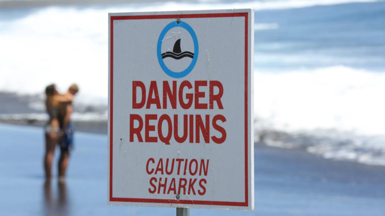 Shark kills 13-year-old off France’s Reunion Island