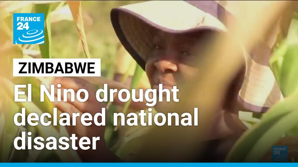 Zimbabwe declares El Nino drought a national disaster - France 24