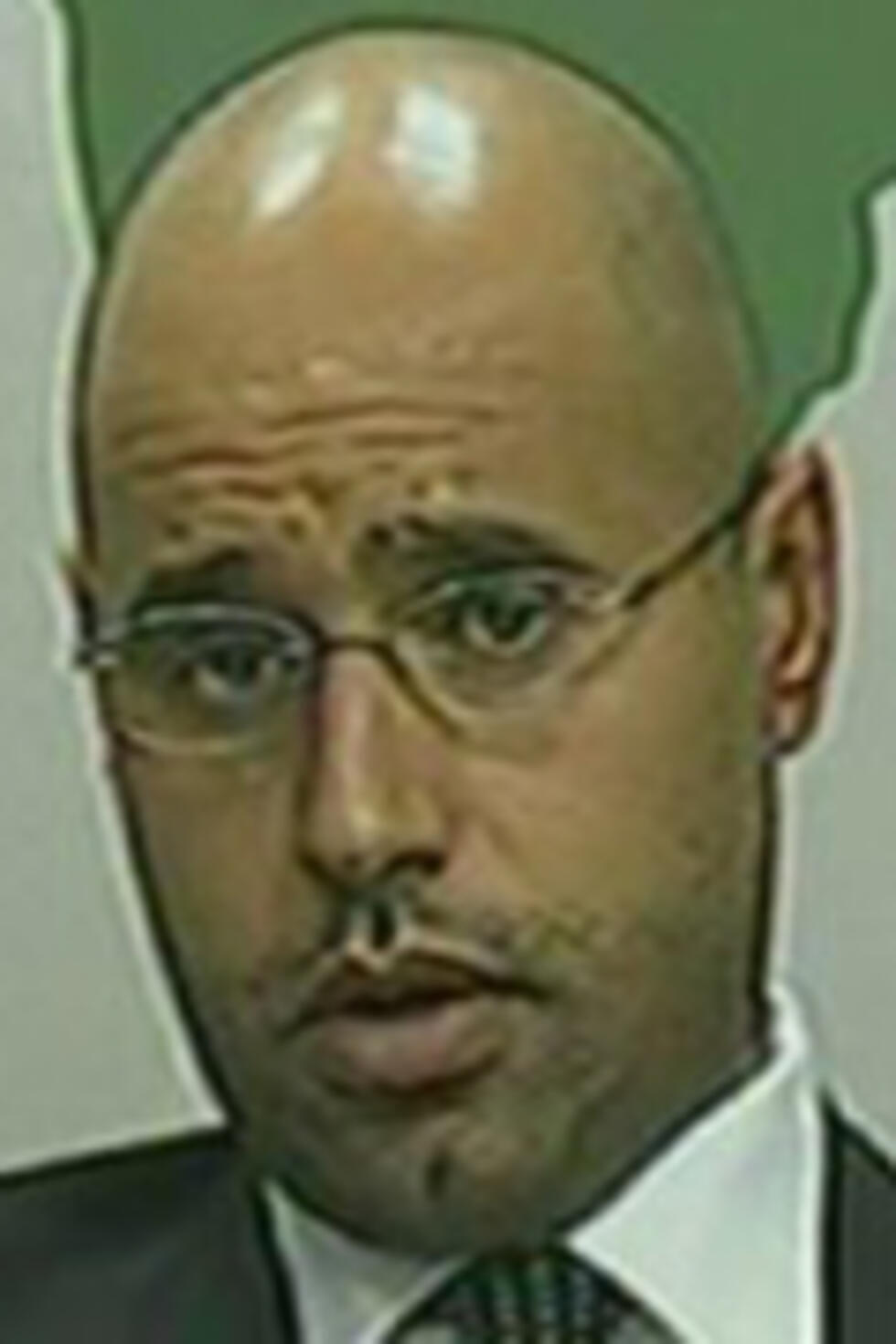 The Gaddafi family tree - France 24