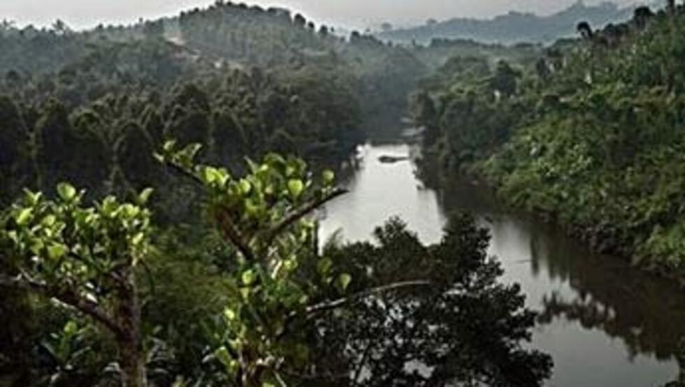 A study to save Madagascar's unique biodiversity