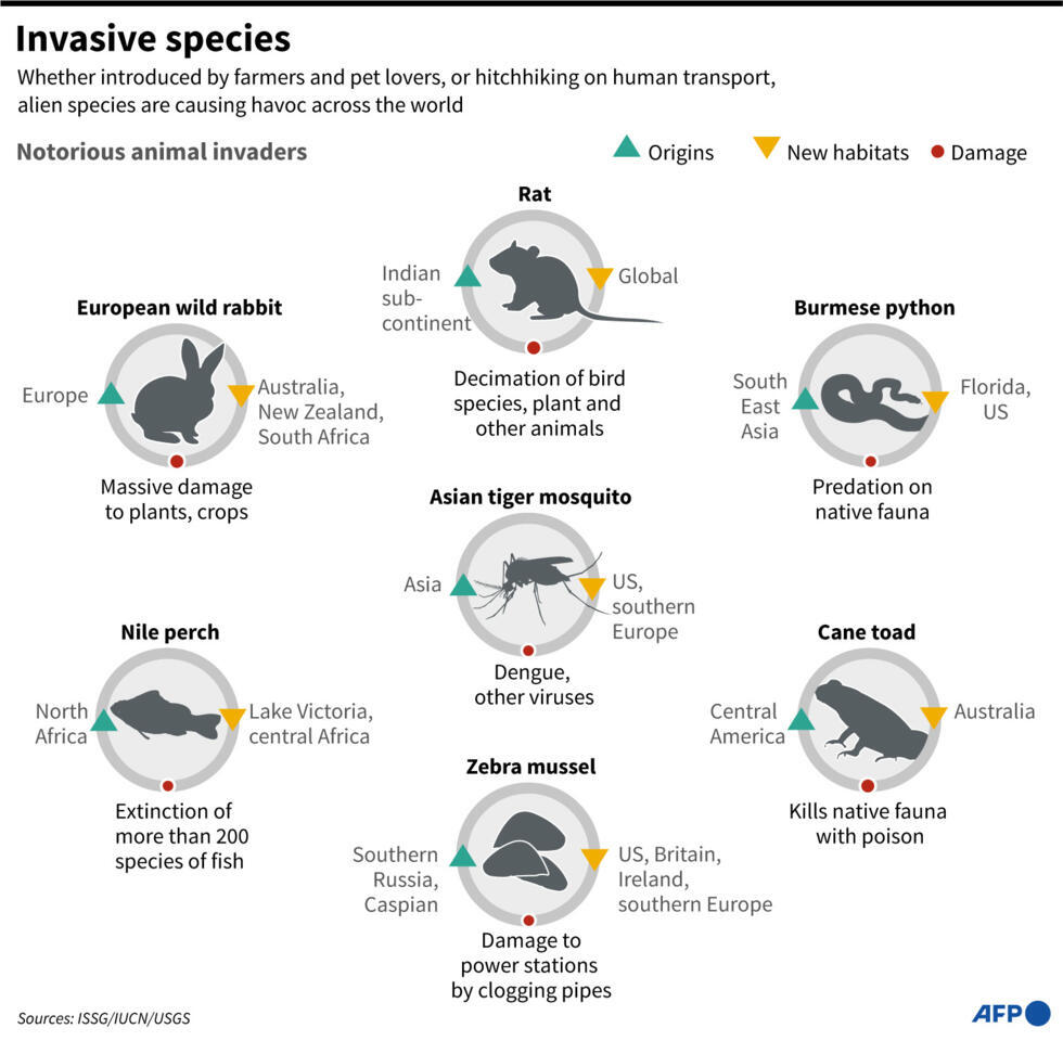 Invasive species problem will be 'worse before it gets better'