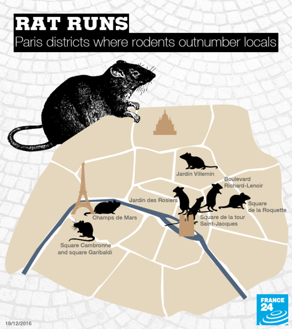 Rat attack: Paris declares war on city’s exploding rodent population