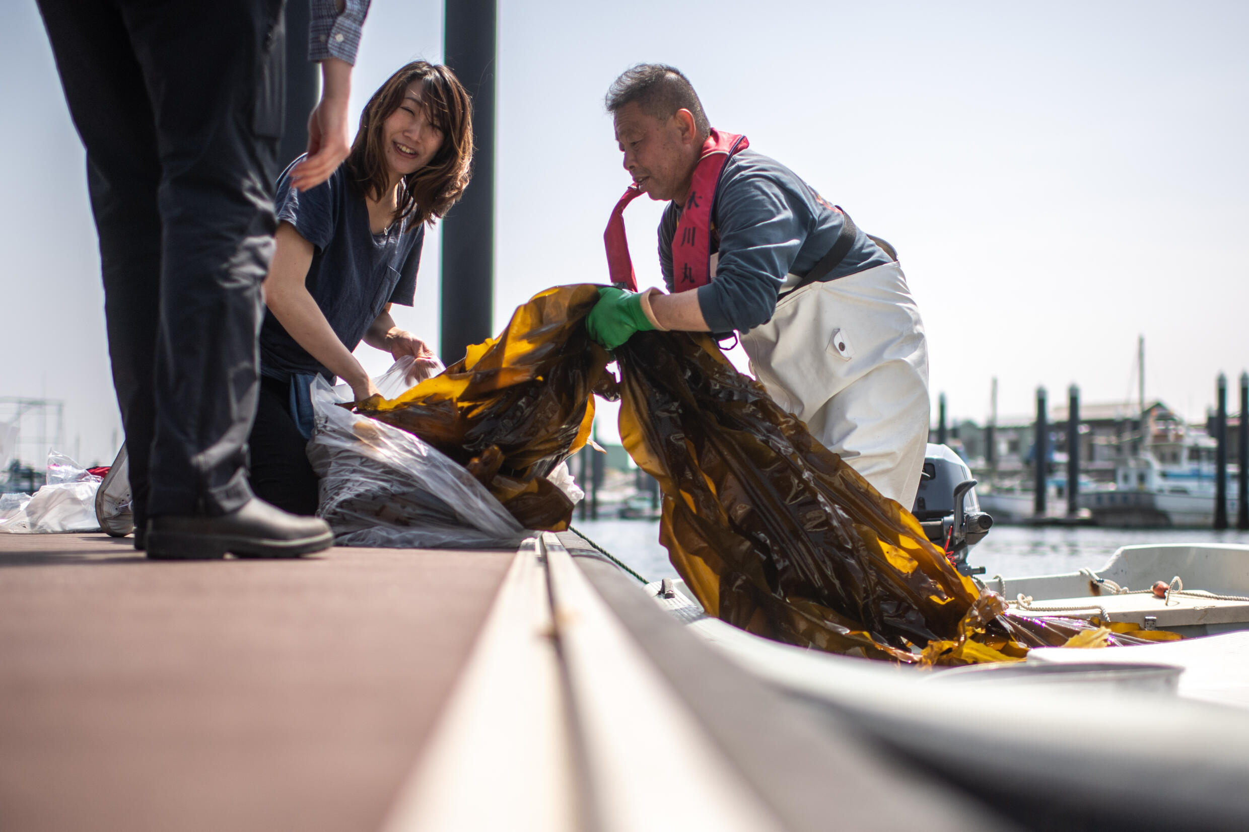 From soup stock to supercrop: Japan shows off its seaweed savvy