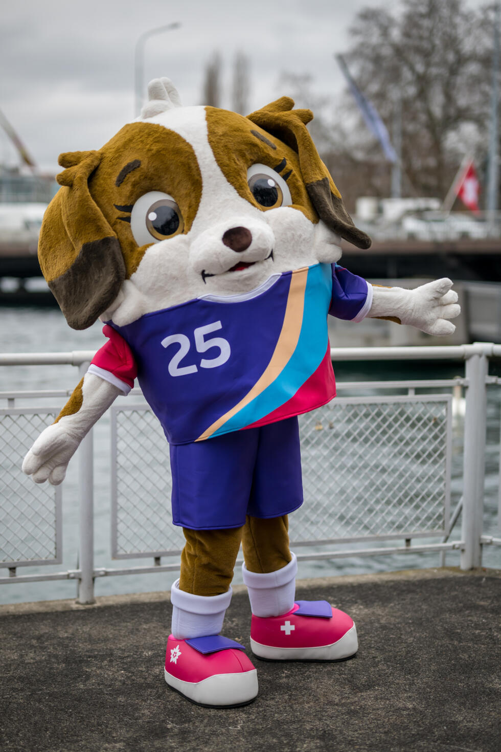 Swiss unveil Euro 2025 mascot Maddli