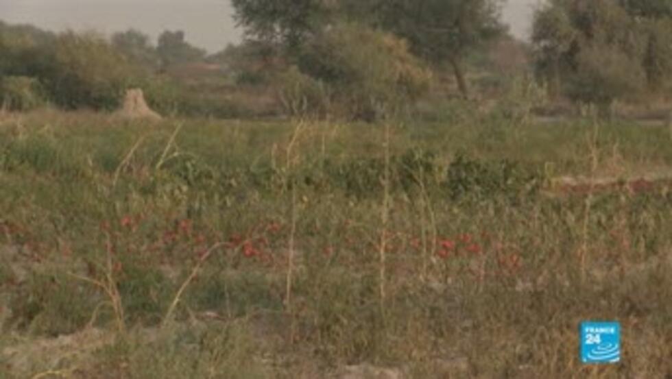 fr/ptw/2015/02/17/WB_FR_NW_PKG_F24_NIGER_BOSSO_01H_NW214960-A-01 ...