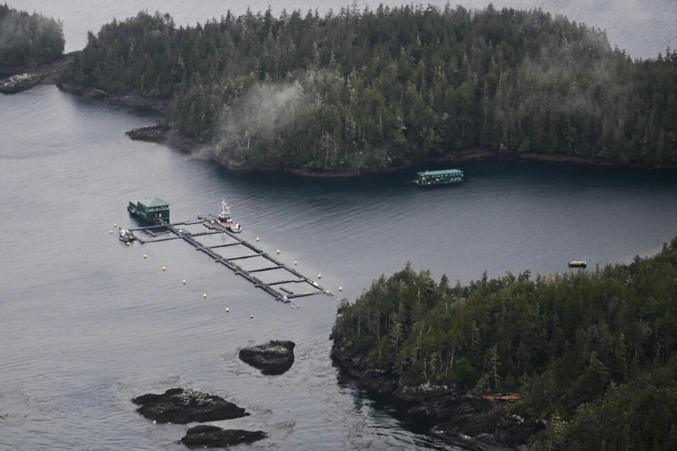 Canada marine protection plan aims to serve as global model