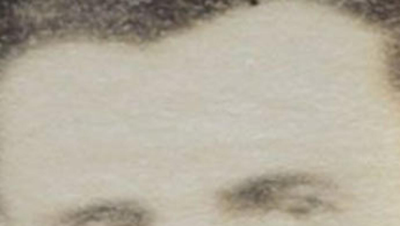 Une photographie dévoile Arthur Rimbaud sous un nouveau visage - France 24