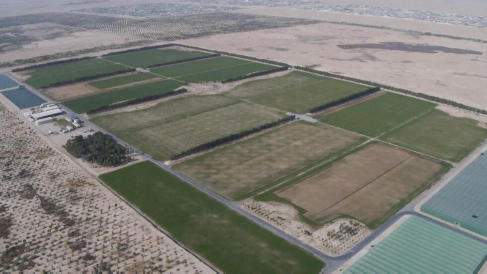 Chilled stadiums and desalinated water: Qatar's extreme lengths for ...