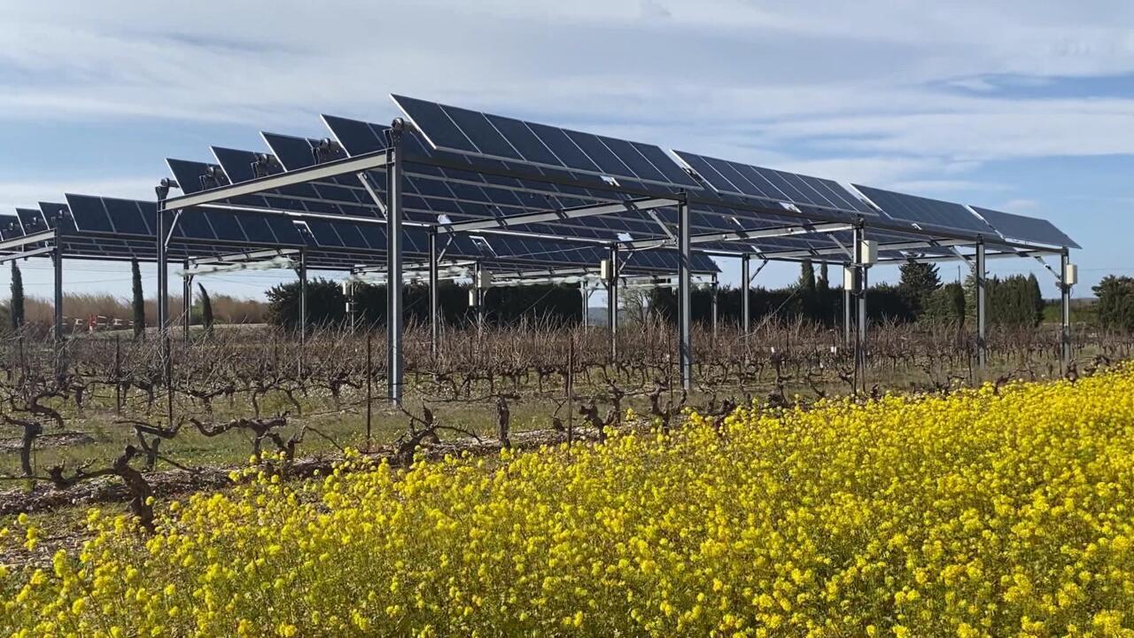 Making space for solar - Down to Earth