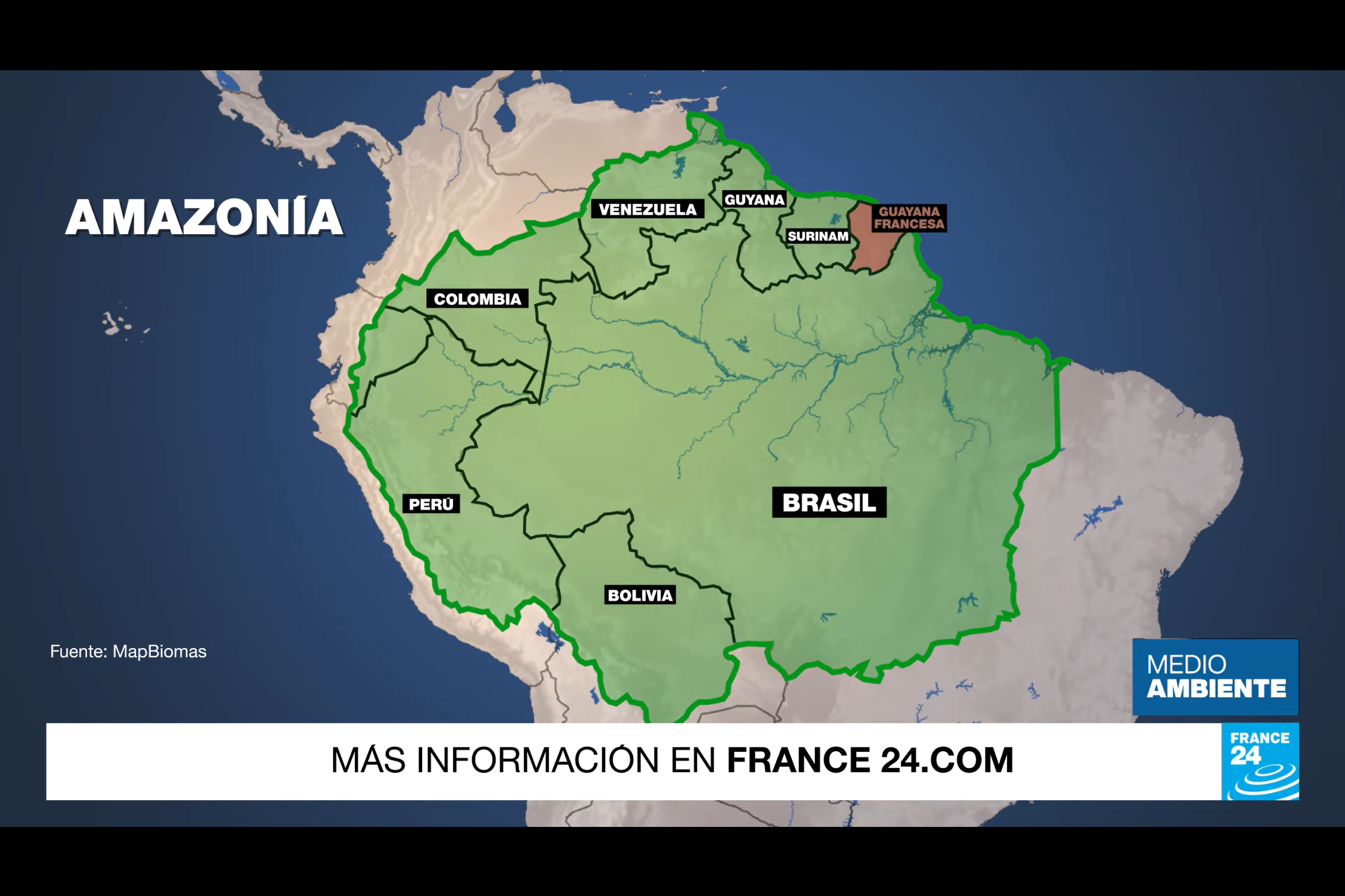 La Cumbre de la Amazonía no pactó metas para frenar la deforestación y ...