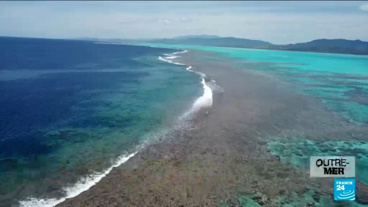 Outre-mer : la France prend-elle vraiment soin de ses aires marines ...