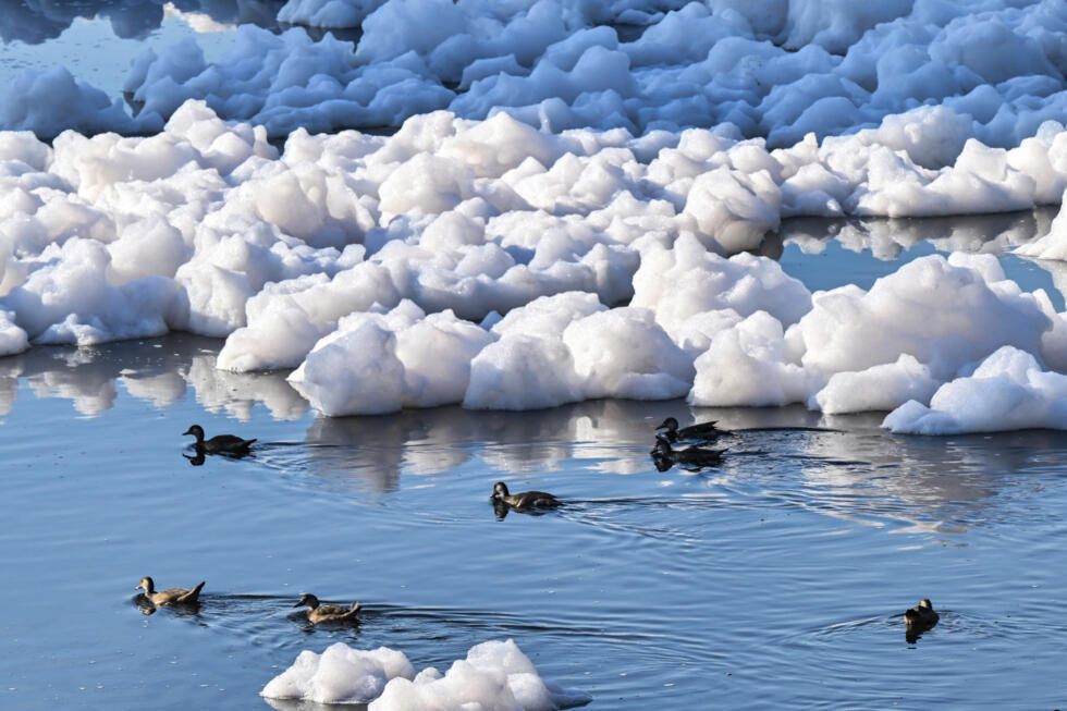 Toxic foam blights river crucial to Brazil's biggest city