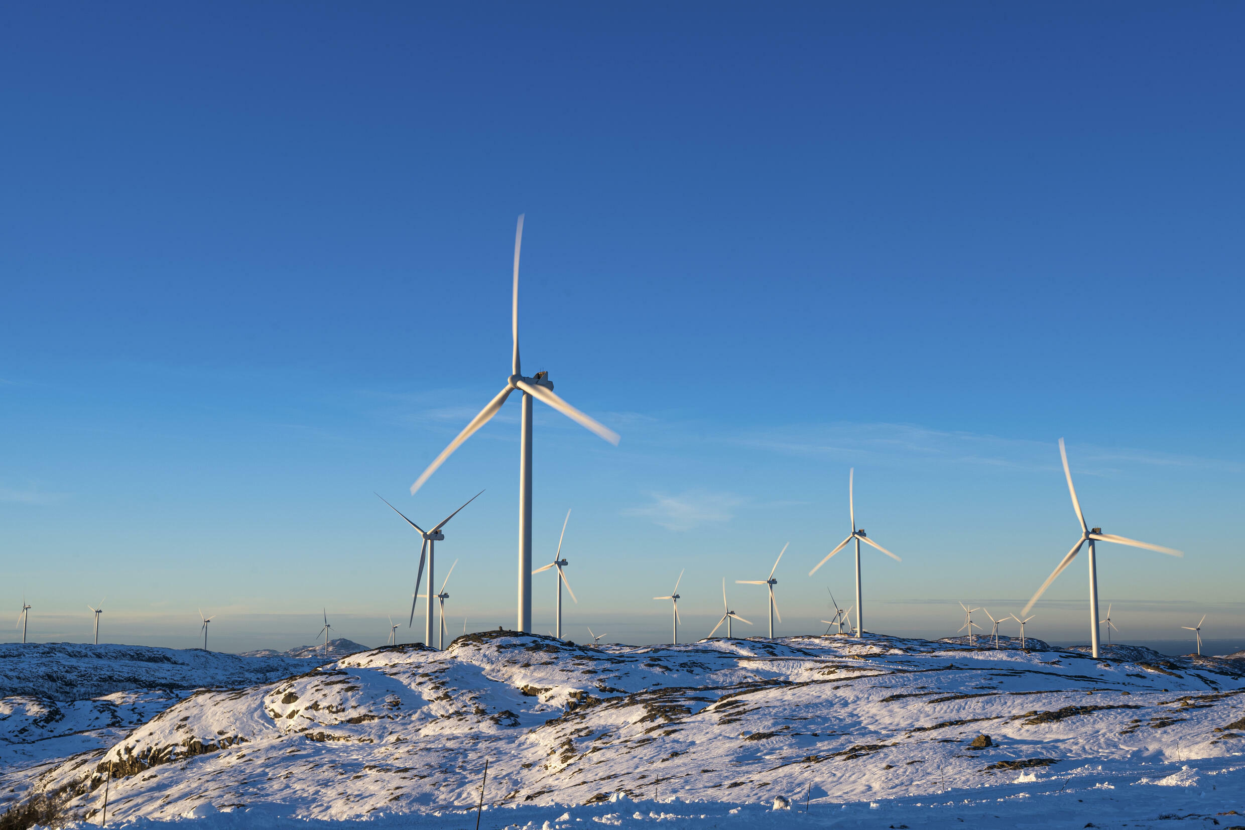 Earth, wind and reindeer: Lapland herders see red over turbines