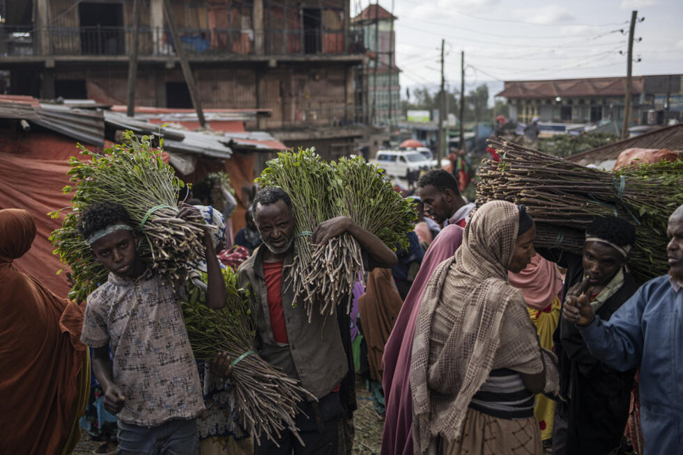 A gloomy season for Ethiopia's 'green gold' at the khat market
