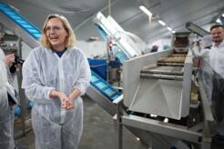 Danish insect farm sets sights on feeding Europe's livestock