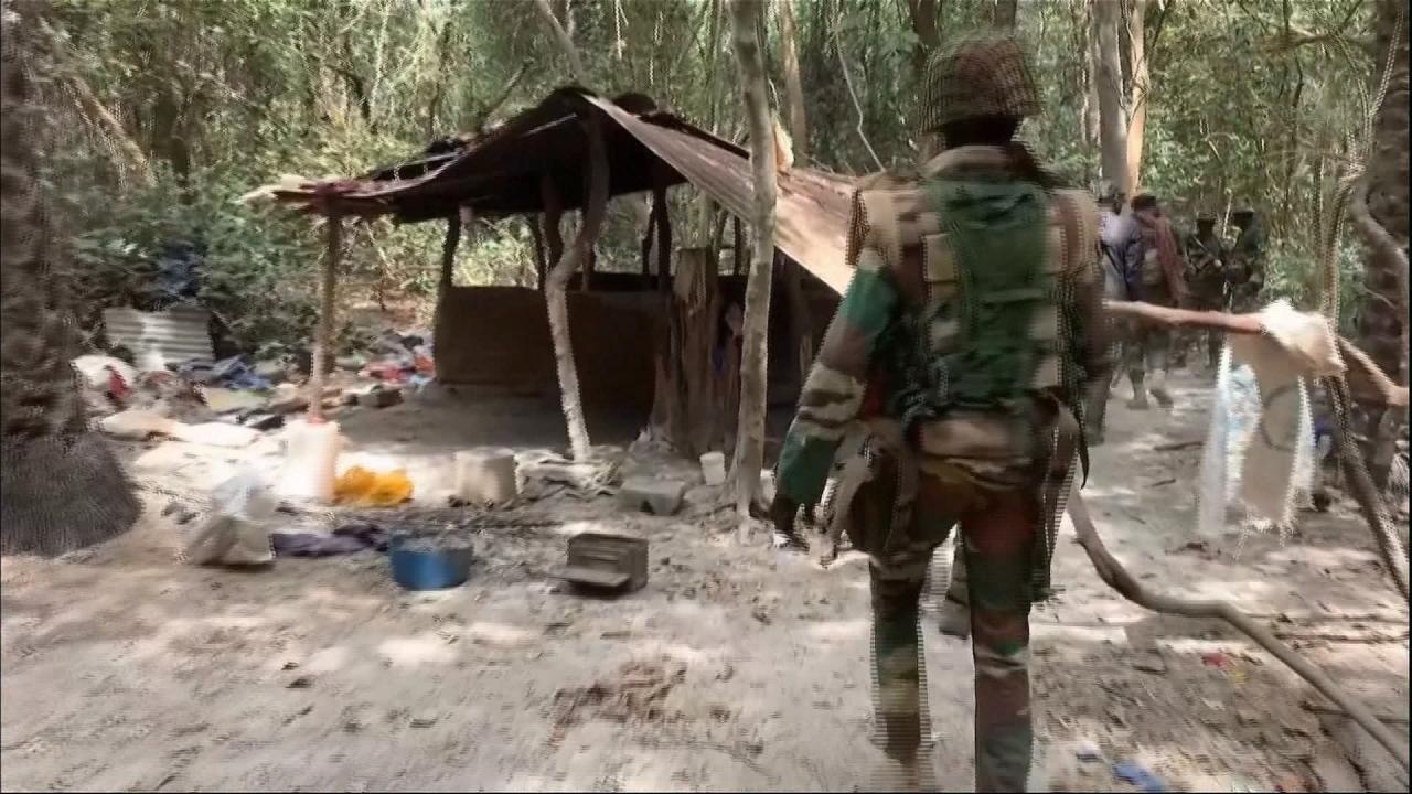 Wood smuggling in Senegal: illegal trade threatens Casamance forest ...