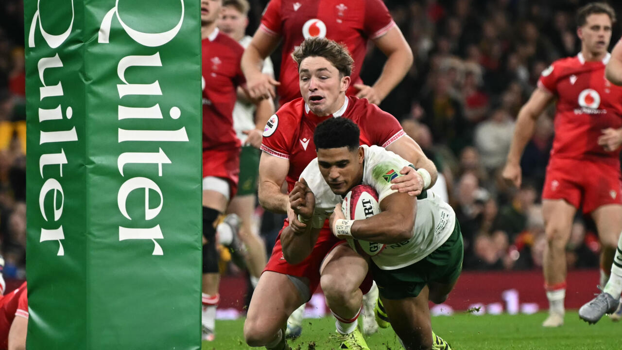 Springboks top the pile as England chase and France await Dupont