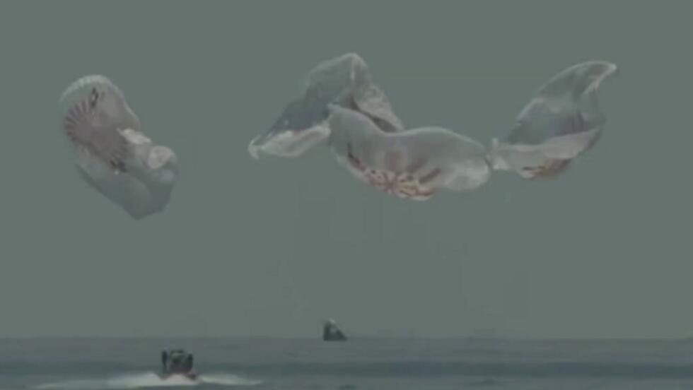 SpaceX capsule with two NASA astronauts makes dramatic splashdown in ...