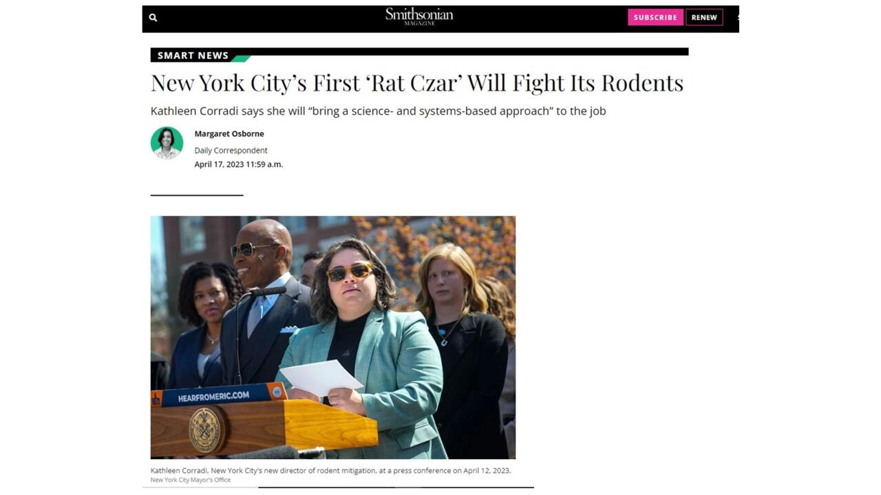 New York appoints 'Rat Tsar' in hopes of tackling rodent population ...