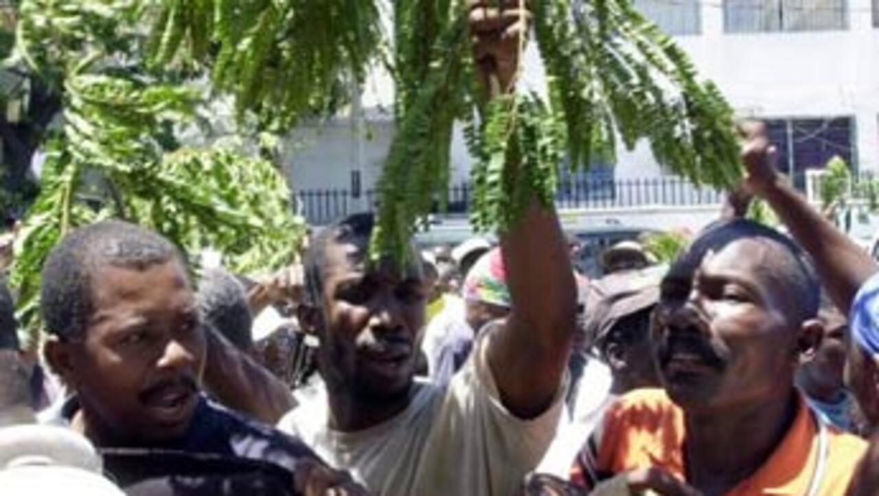 Four killed in Haiti anti-poverty protests