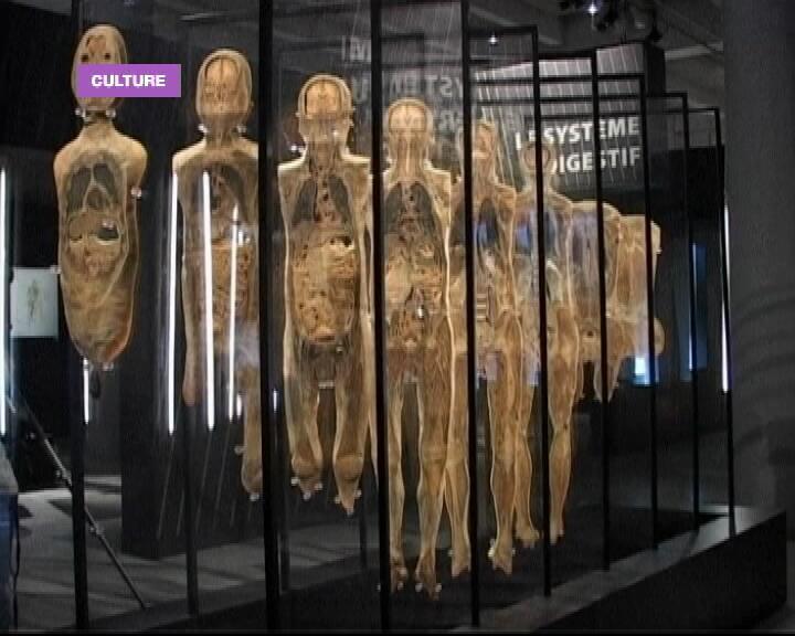 Voyage au cœur du corps humain