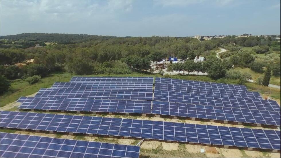 Reaching carbon neutrality: Why France lags behind on its environmental ...