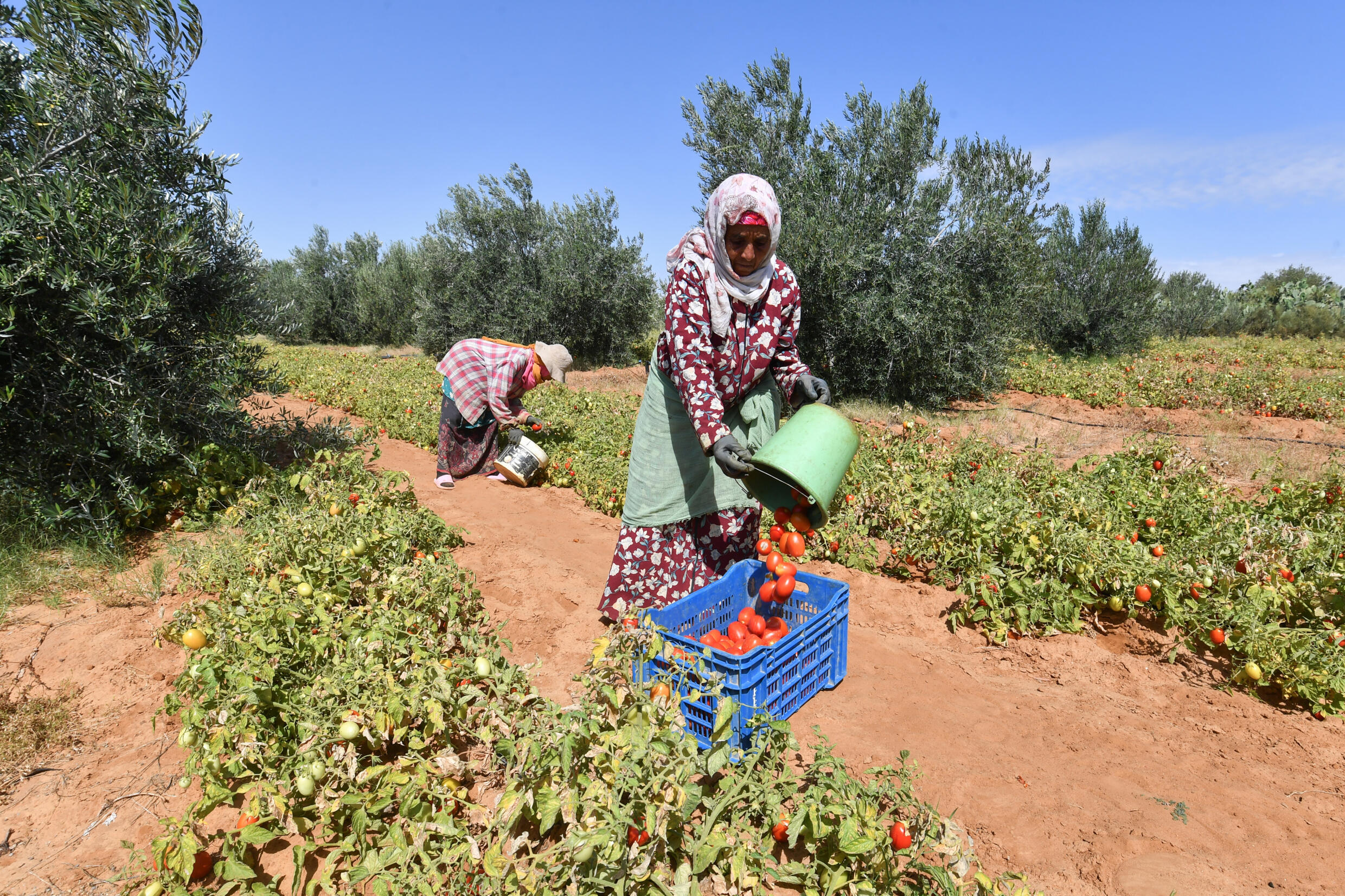 A Tunisian village's fight for running water