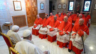 Pope Francis expands ranks of cardinals in charge of electing new ...