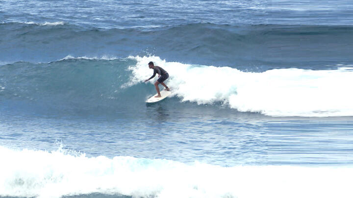 Hunt down sharks to protect surfers? The dilemma facing France's ...