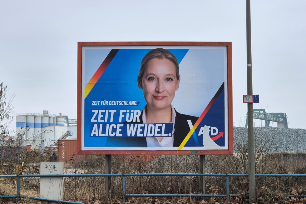 Germany may face long wait for new government after vote