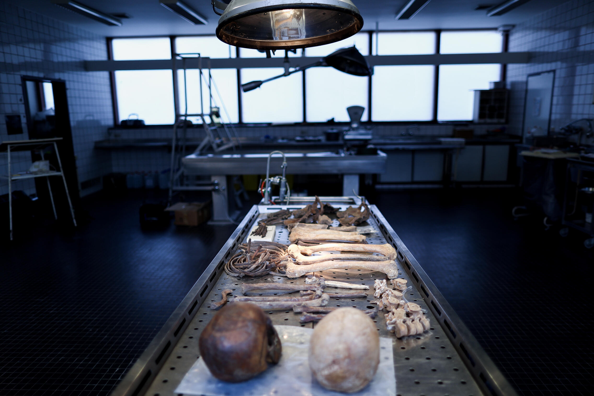 The two-century-old mystery of Waterloo's skeletal remains
