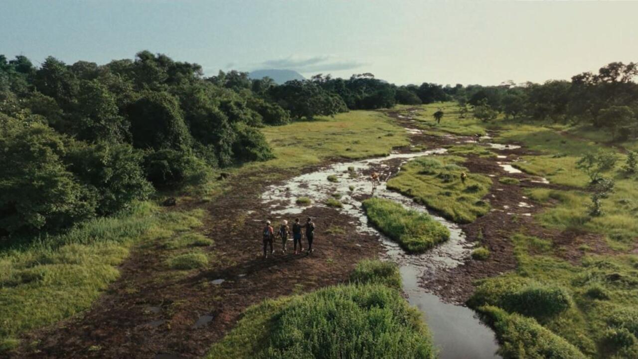 JA Delmas concessionnaire CAT en Afrique de l’Ouest devient Neemba ...