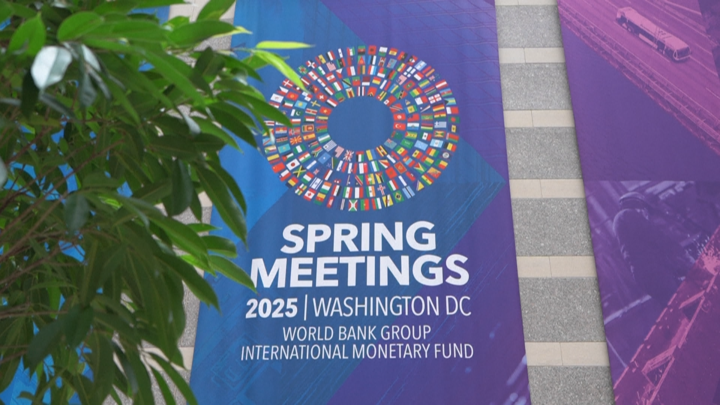 Yuka ROYER - France 24