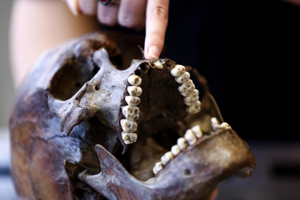 The two-century-old mystery of Waterloo's skeletal remains