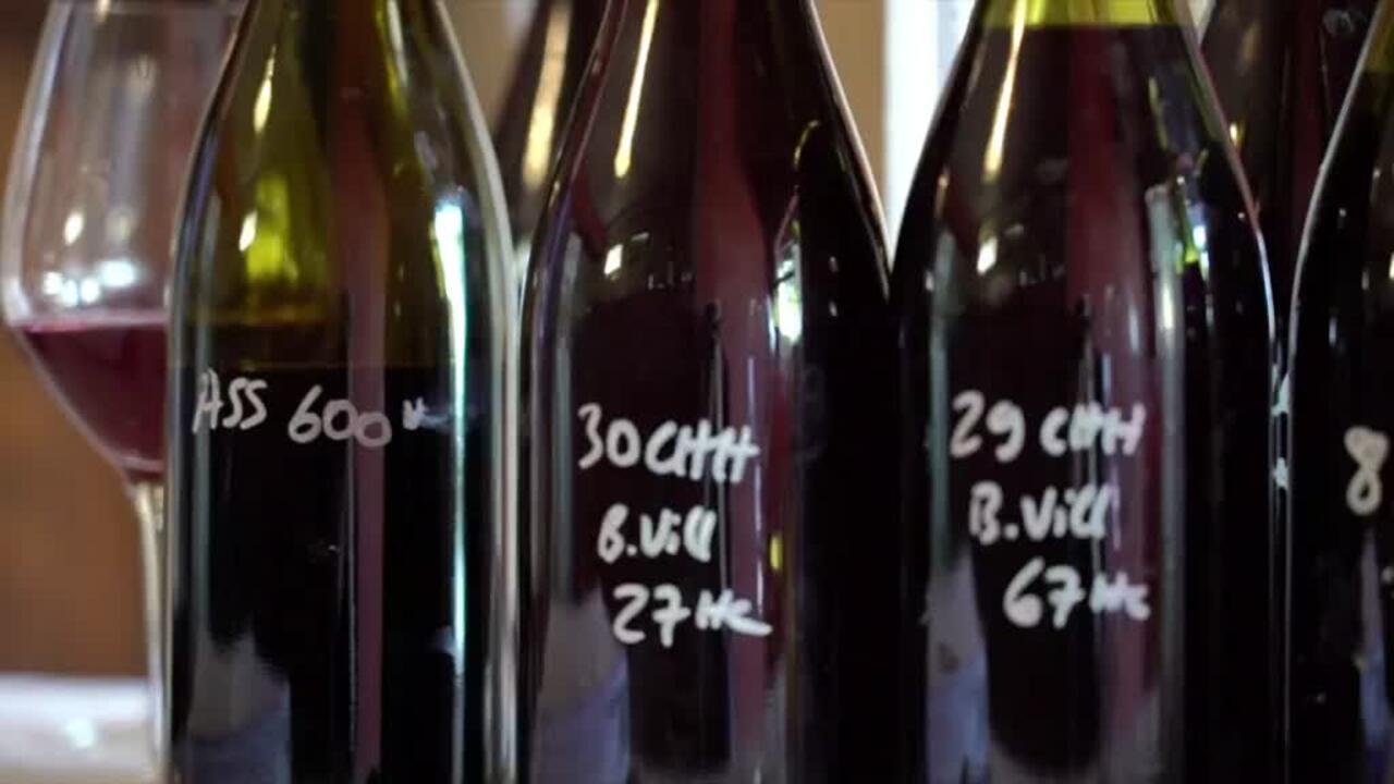 Le vin français taxé à 25% aux Etats-Unis : Les viticulteurs voient ...