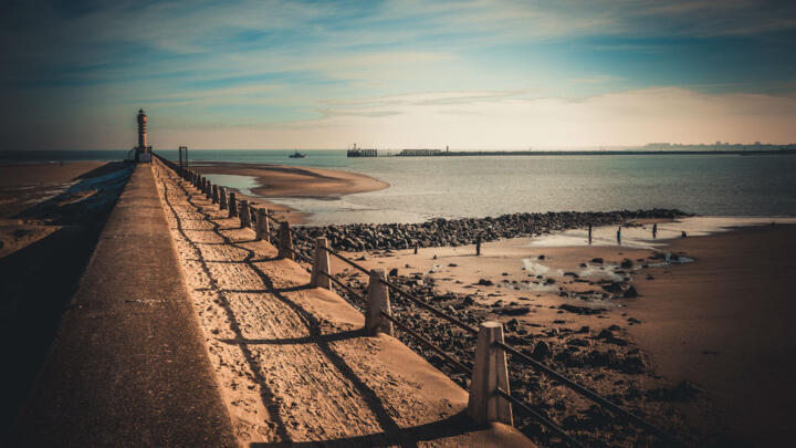 French city of Dunkirk tests out free transport – and it works