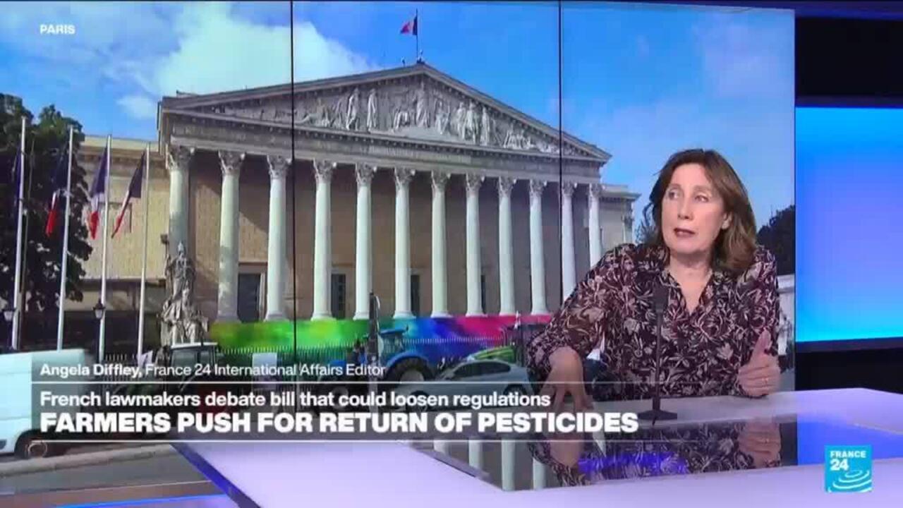 French farmers push for risky pesticide re-introduction - France 24