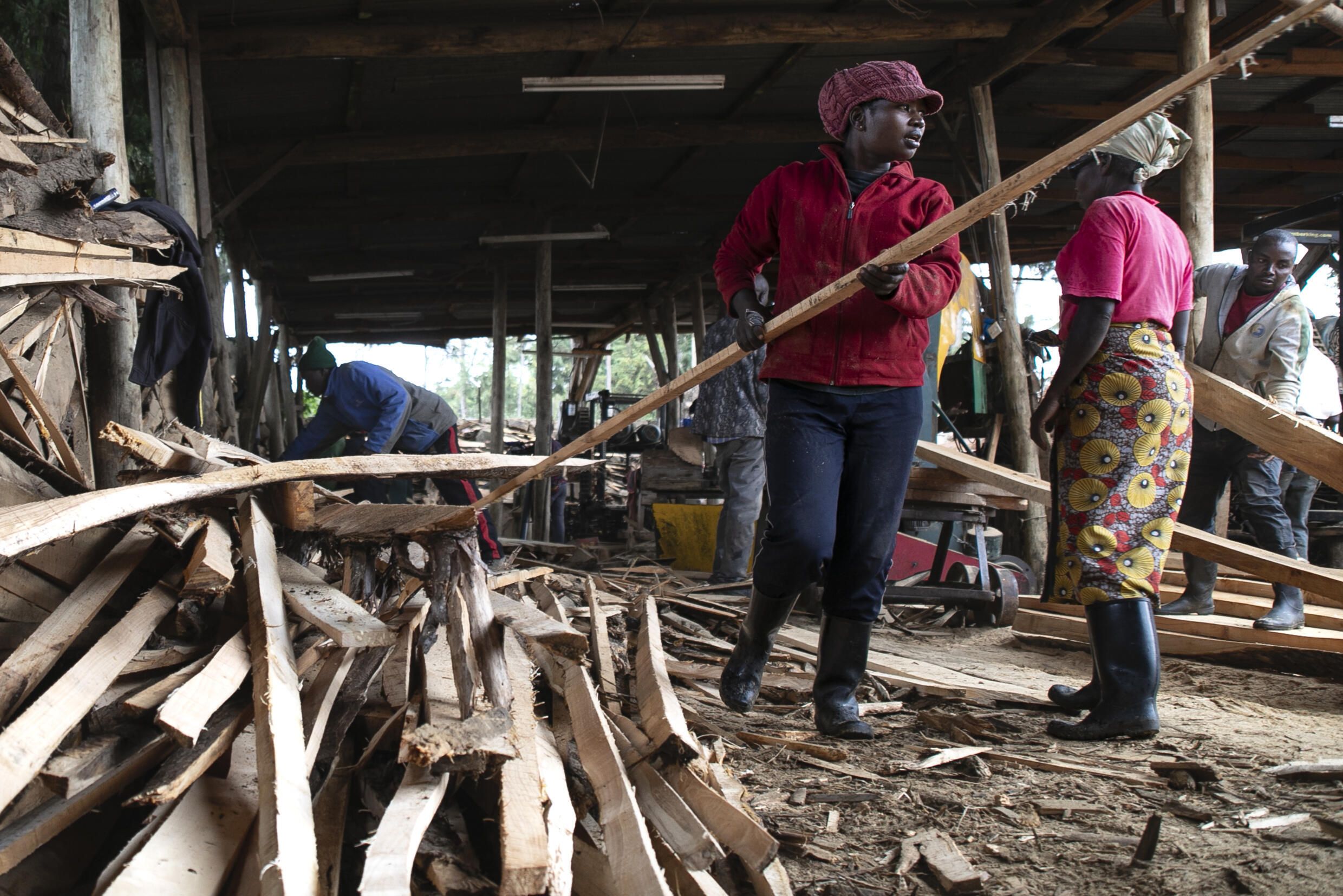 Relief and despair: repeal of logging ban divides Kenya