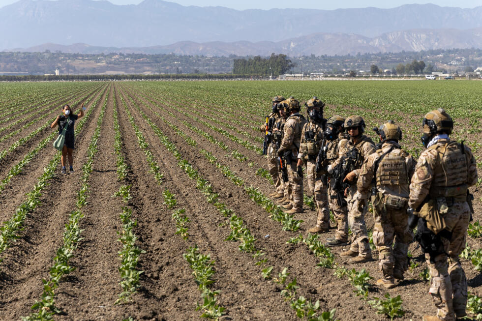 Worker in critical condition after US immigration raid on California farm