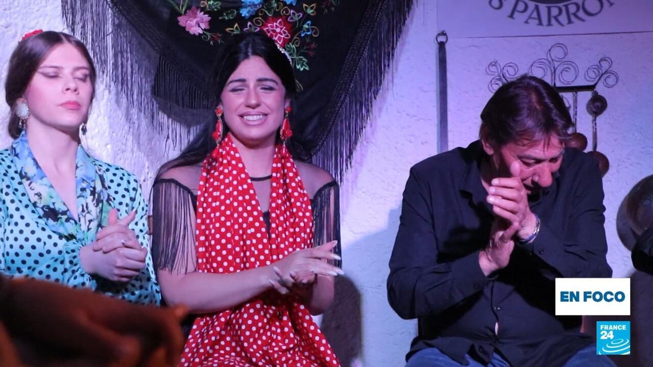 Los 600 años del pueblo gitano en España: una historia de avances y complejos desafíos - En Foco